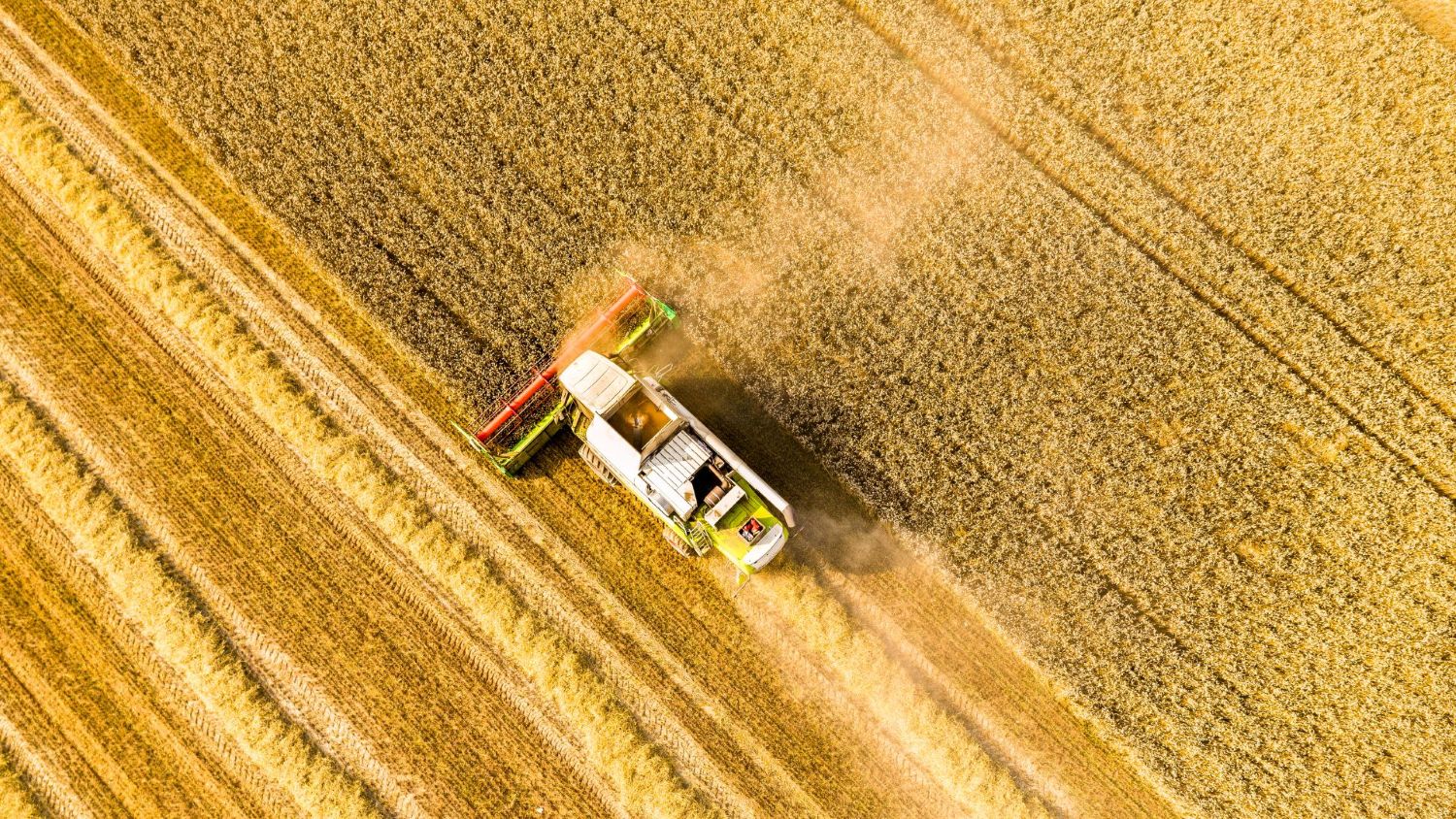 LKU grupė su ILTE kviečia ūkininkus pasinaudoti lengvatinėmis ...
